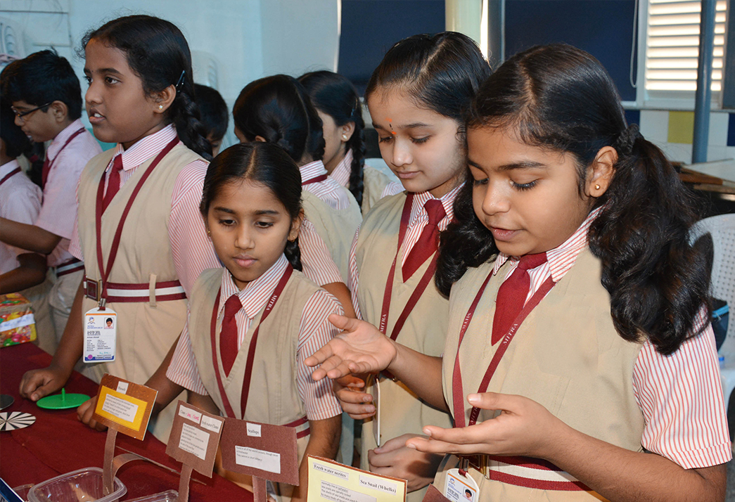 Activities & Competitions – Mitra Academy